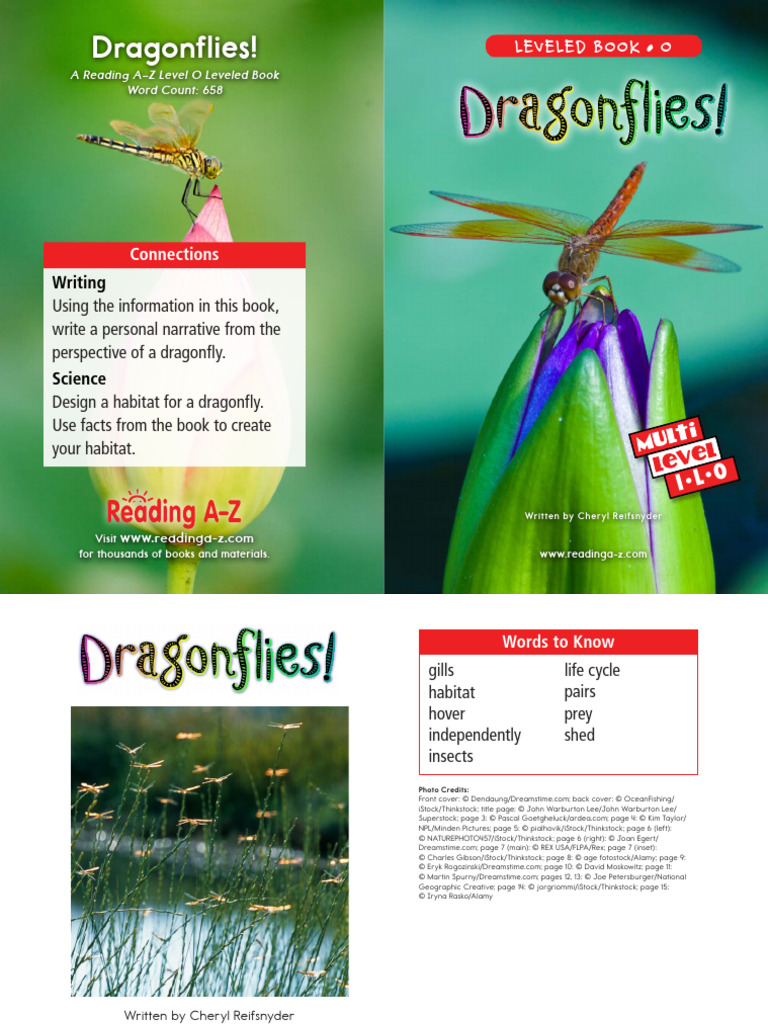 O Dragonflies | Download Free PDF | Dragonfly | Insects