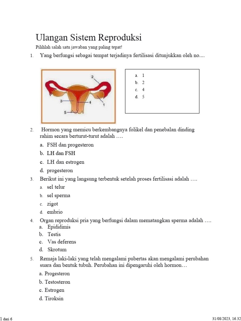 Ulangan Sistem Reproduksi | PDF