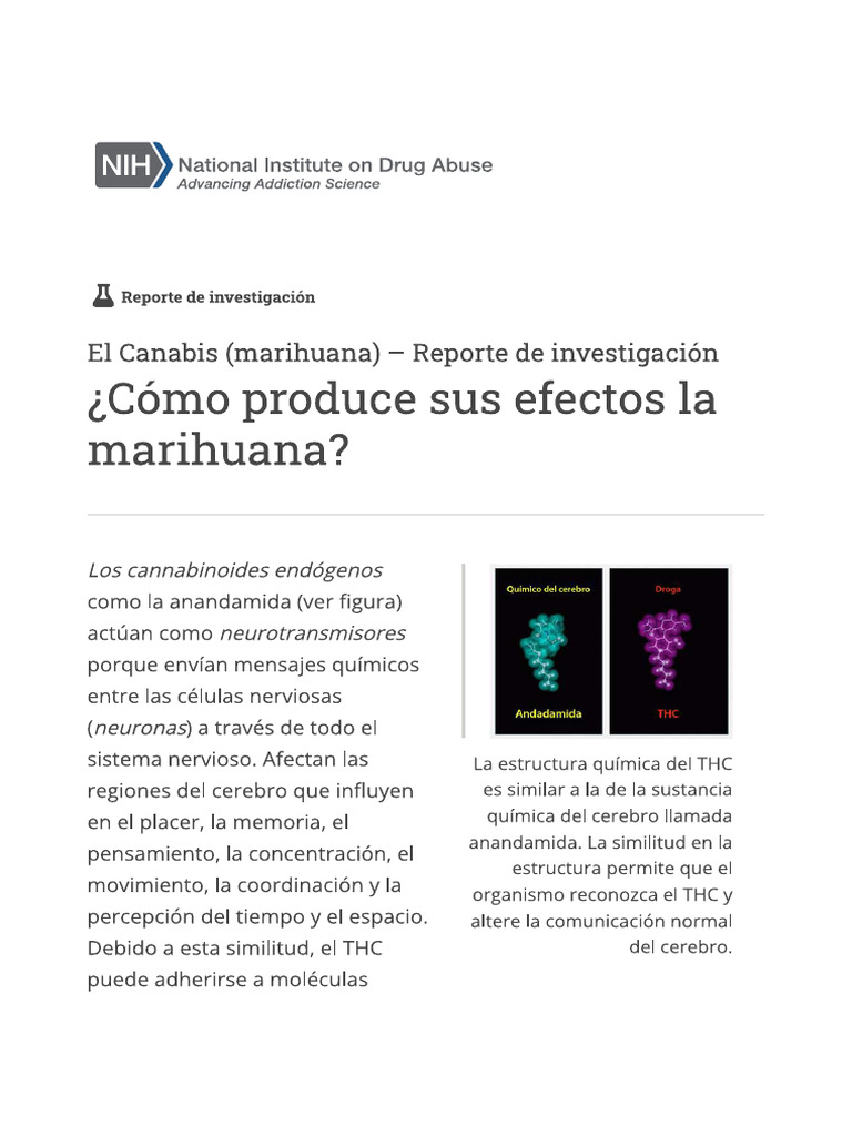 Cómo Produce Sus Efectos La Marihuana Ational Institute On Drug