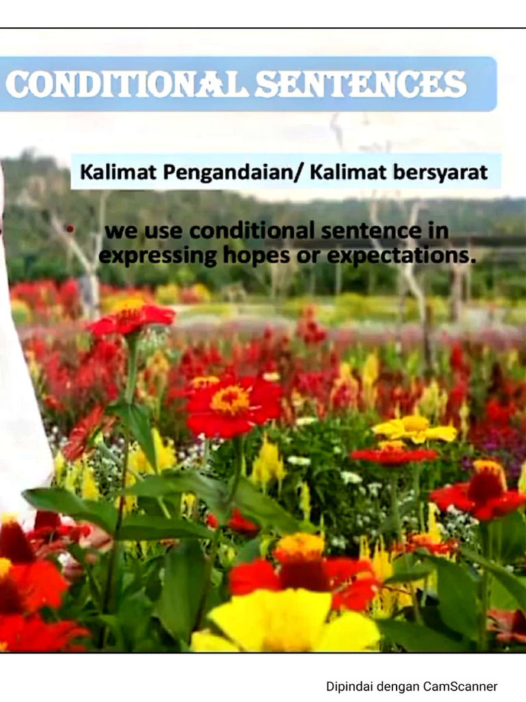 Conditional Sentences | PDF