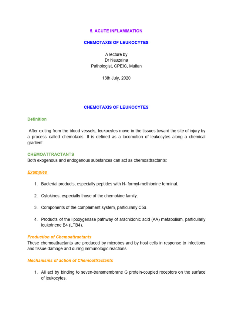 Acute Inflammation - Chemotaxis | PDF | Inflammation | Chemotaxis