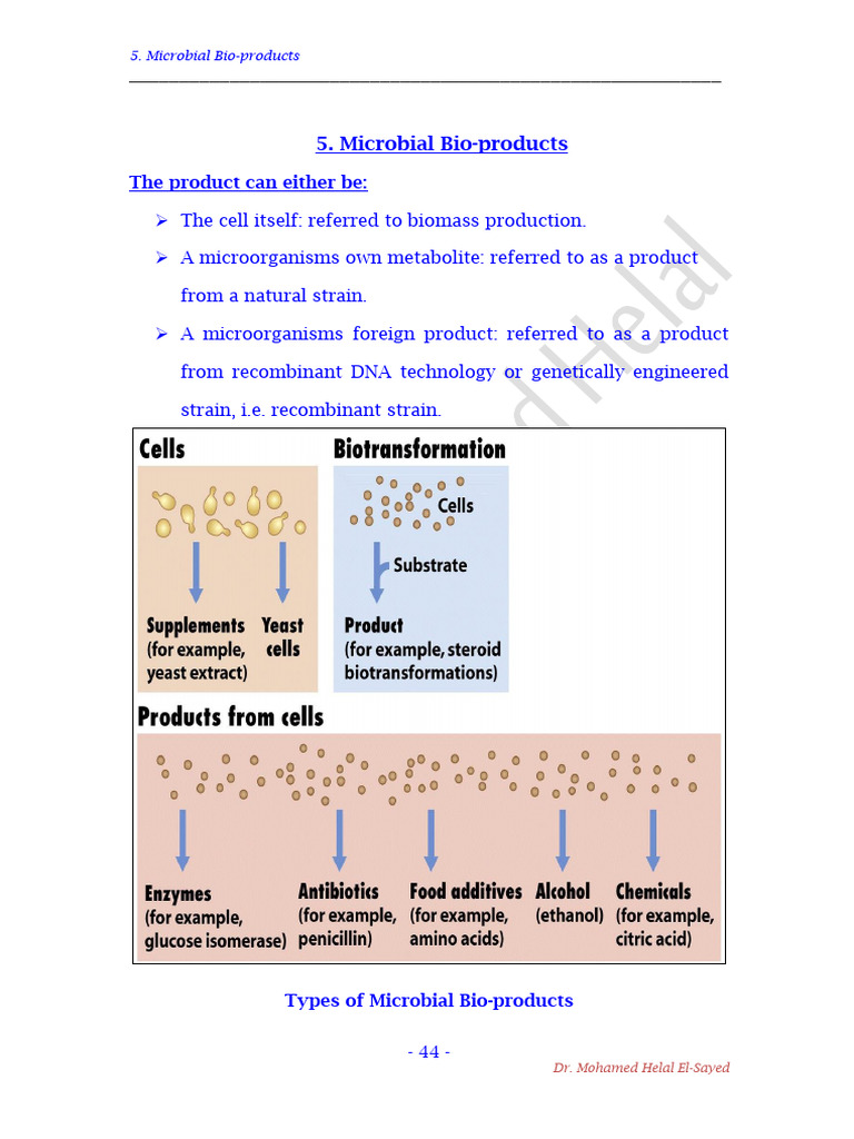 7 Microbial Bio Products | PDF | Yeast | Fermentation