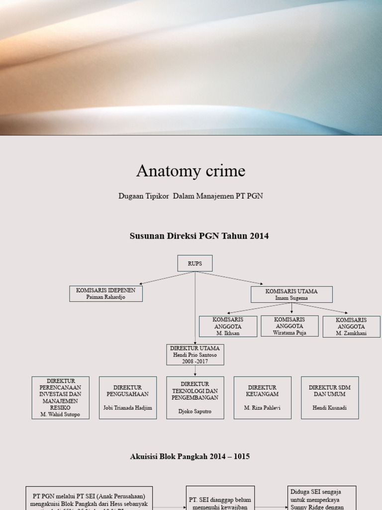 Anatomy Crime PGN | PDF