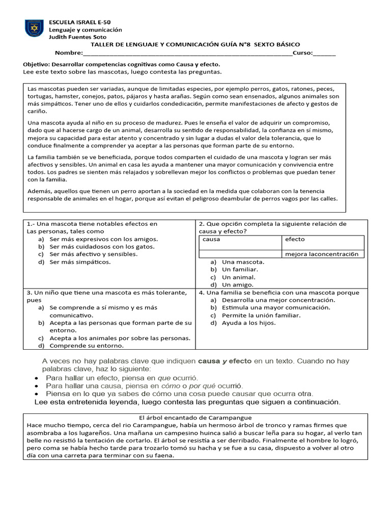 Taller de Lenguaje: Causa y Efecto | PDF | Estudios de idiomas extranjeros