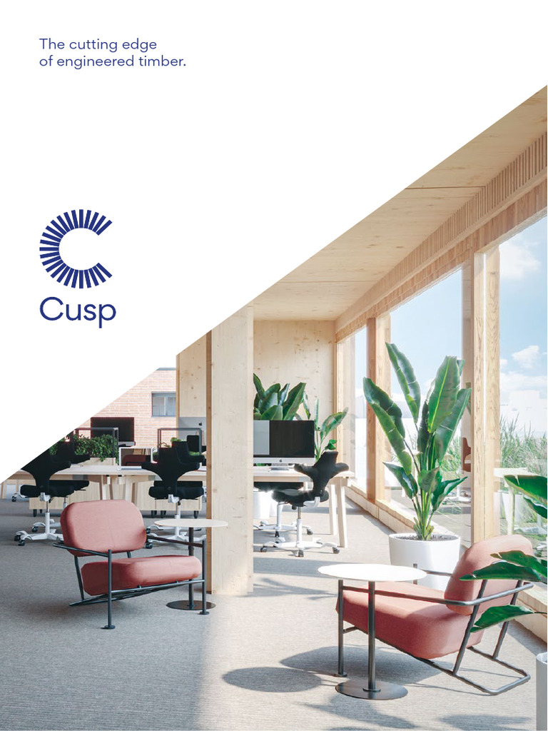 Cusp Design Guide | PDF | Strength Of Materials | Lumber