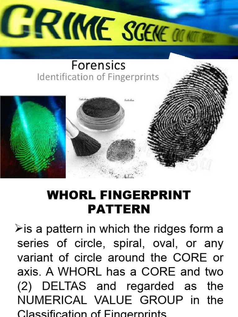 Dactyloscopy 8 | Download Free PDF | Hand | Fingerprint