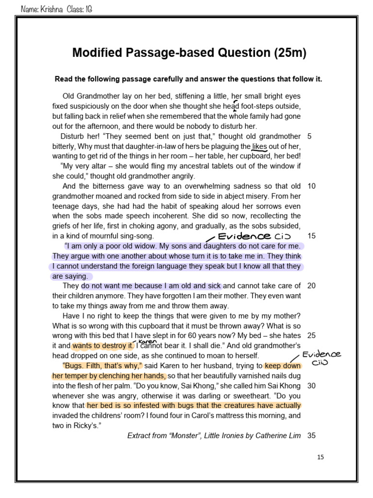 Modified Passage Based Questions (Literature) | PDF