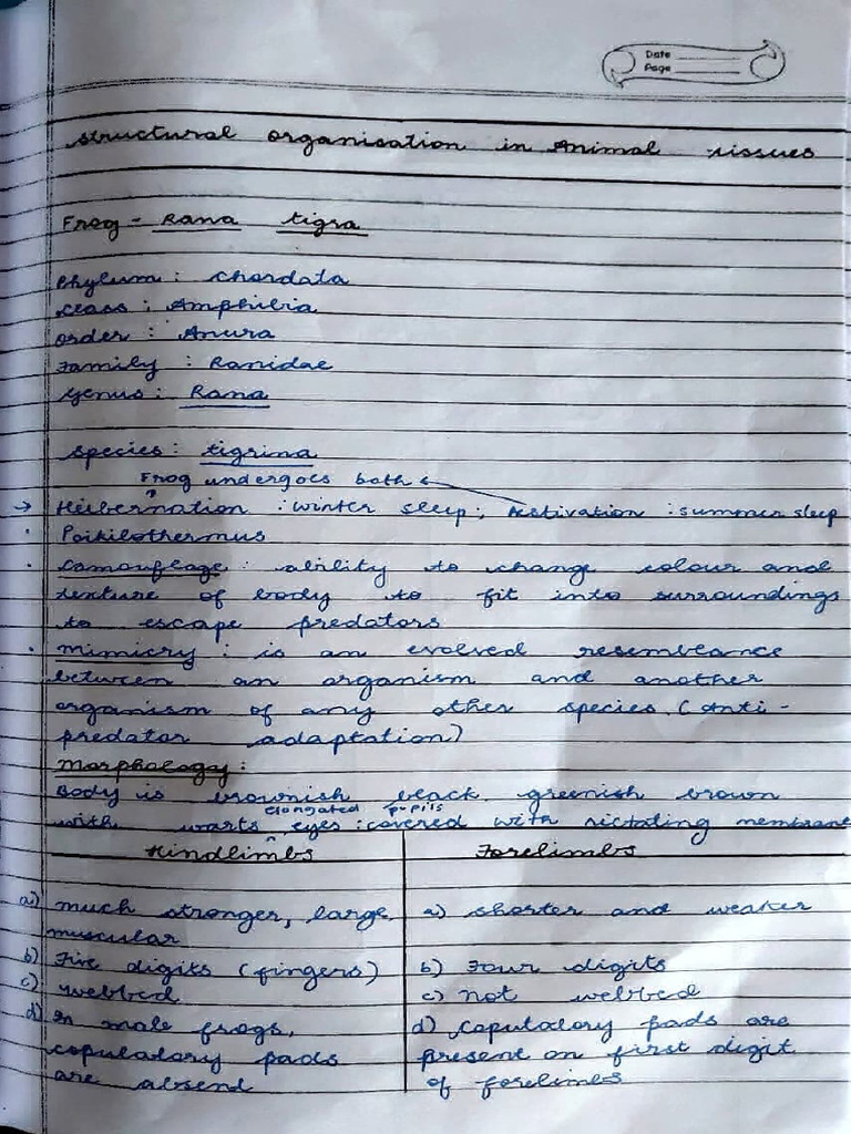 Class 12 Zoology Notes PDF | PDF