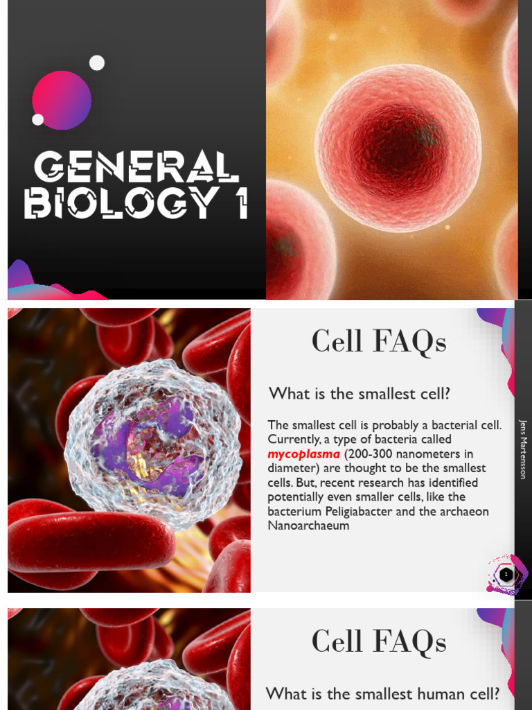Gen. Bio Lesson 1 | PDF | Organisms | Cell (Biology)