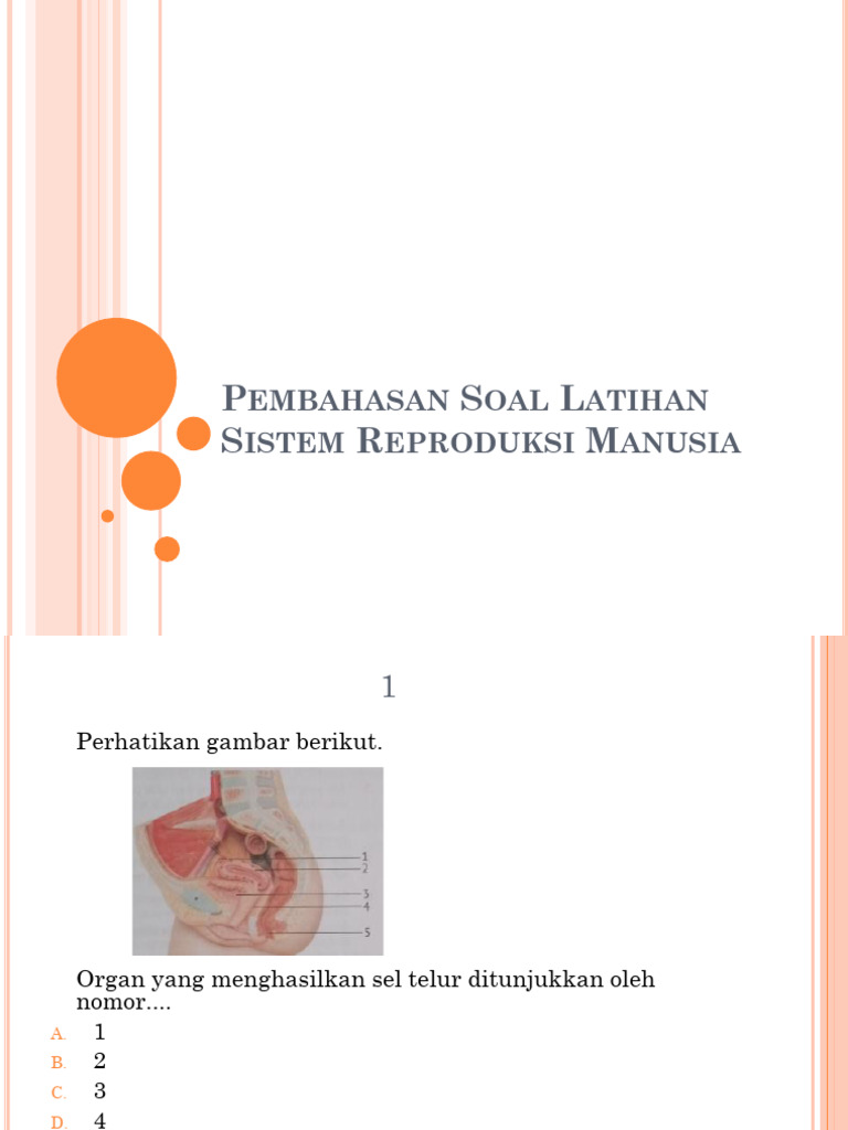 SOal Latihan Biologi Sistem Reproduksi | PDF