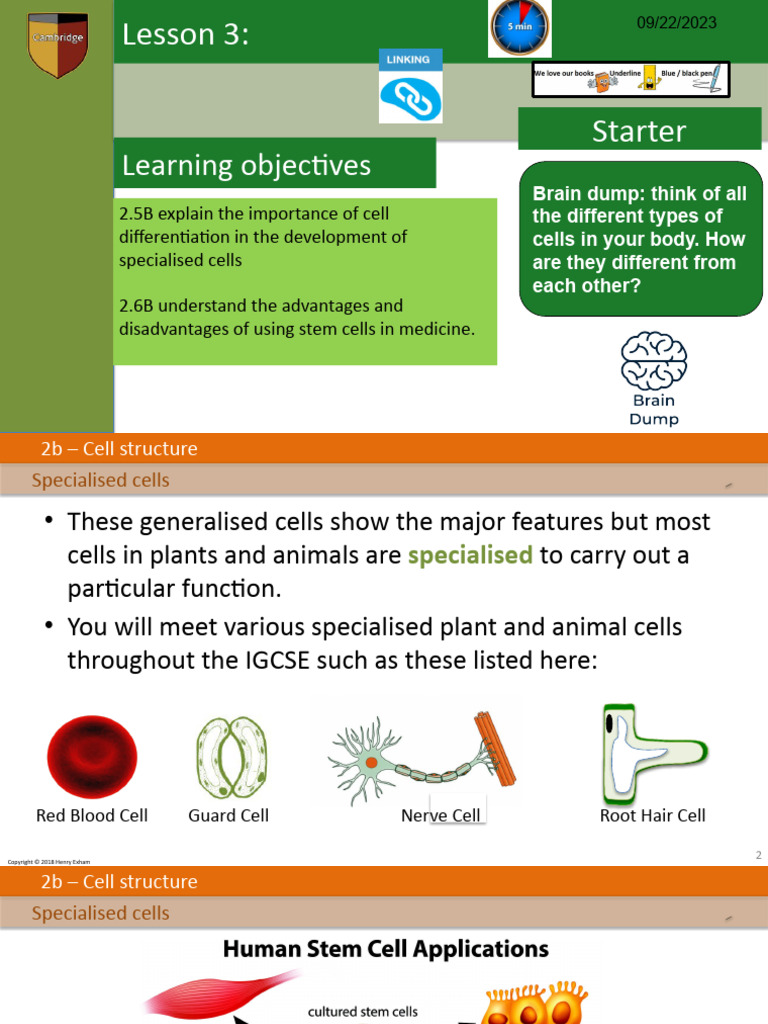 Lesson 3 Specialised Cells 2b-Cell-Structure | Download Free PDF | Cell ...