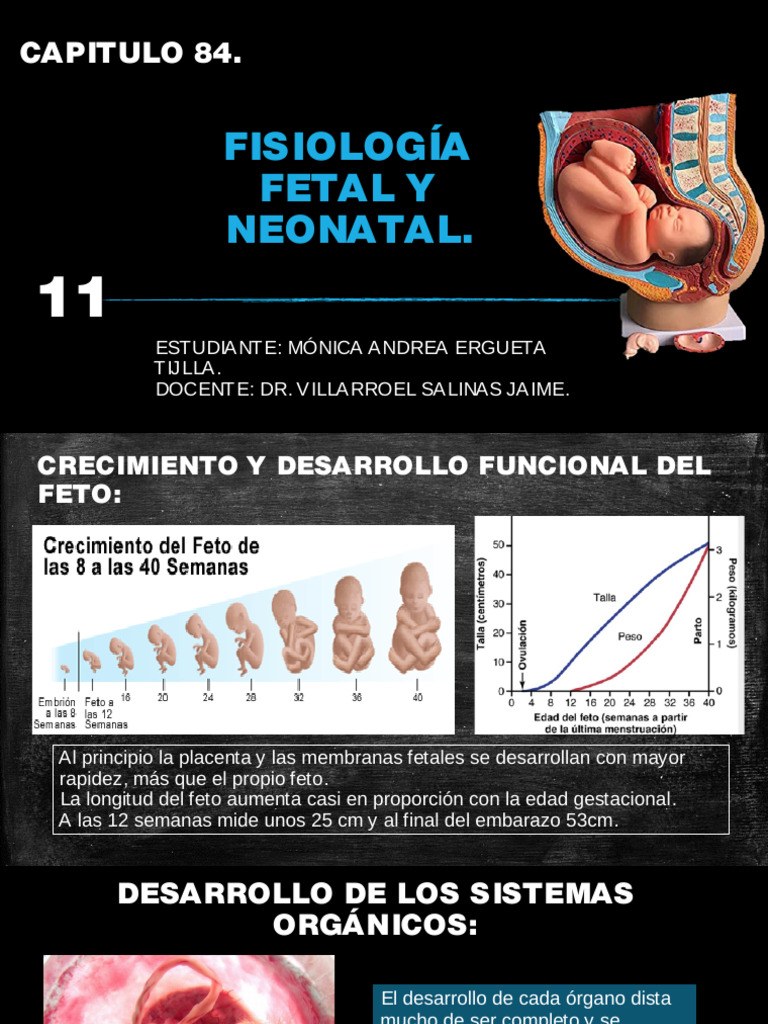 Capitulo 84 Fisiologia Fetal y Neonatal | PDF | Feto | Sistema circulatorio