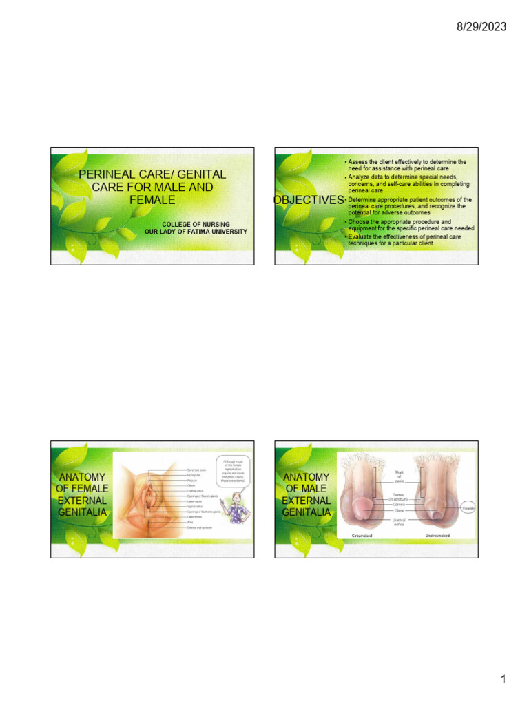 Perineal Care and Peri Light 2 | PDF | Vagina | Medical Specialties