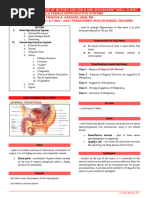Male Reproductive System | PDF | Reproductive System | Human Body