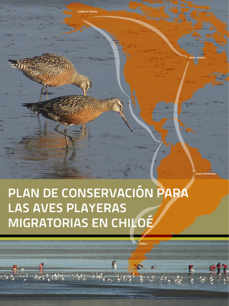 Plan CAP - Chiloé | PDF | Entorno natural | Planificación