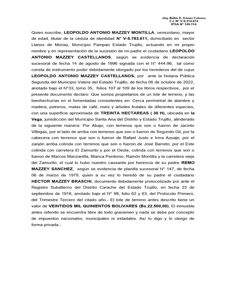 DOCUMENTO Polo | PDF | Derecho Civil (Common Law)