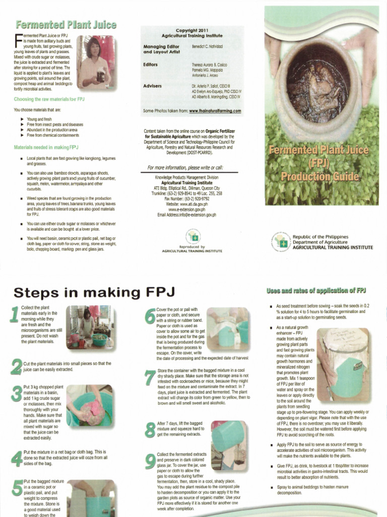 Fermented Plant Juice (FPJ) Production Guide | PDF