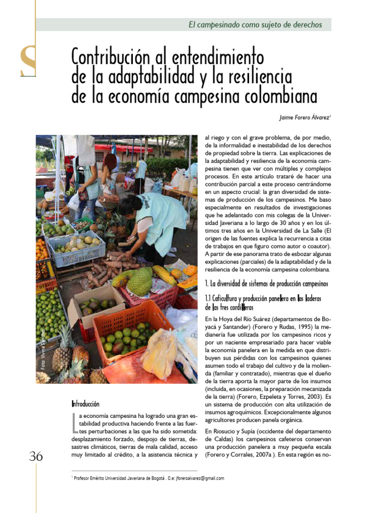 Articulo | PDF | Agricultura | Campesino