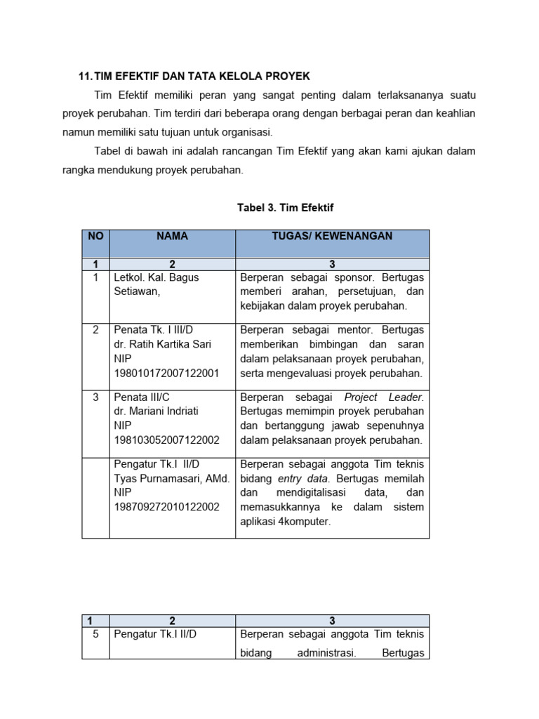 Tim Efektif Dan Tata Kelola Proyek | PDF