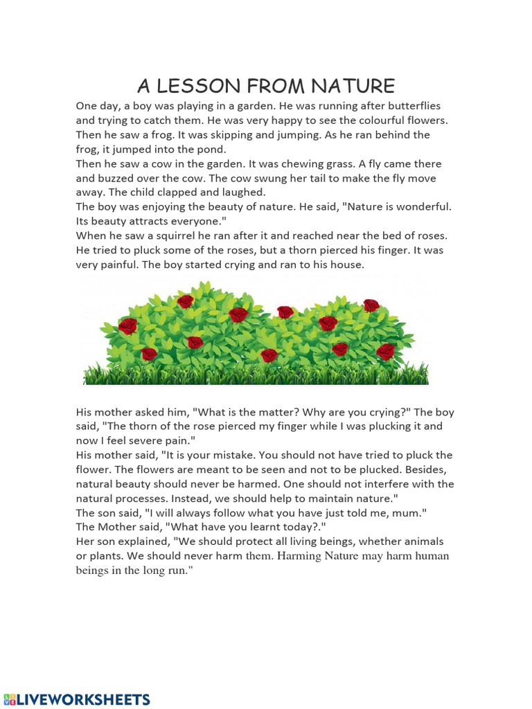 Reading Nature | PDF