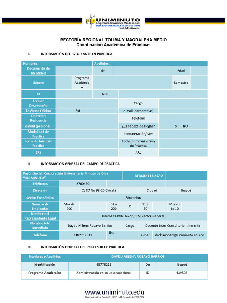 Formato De Informe Prácticas Profesionales Pdf Business Teoría