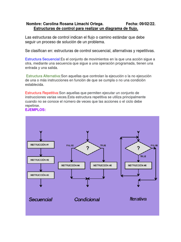 Estructuras de Control en Diagramas de Flujo | PDF | Crecimiento ...