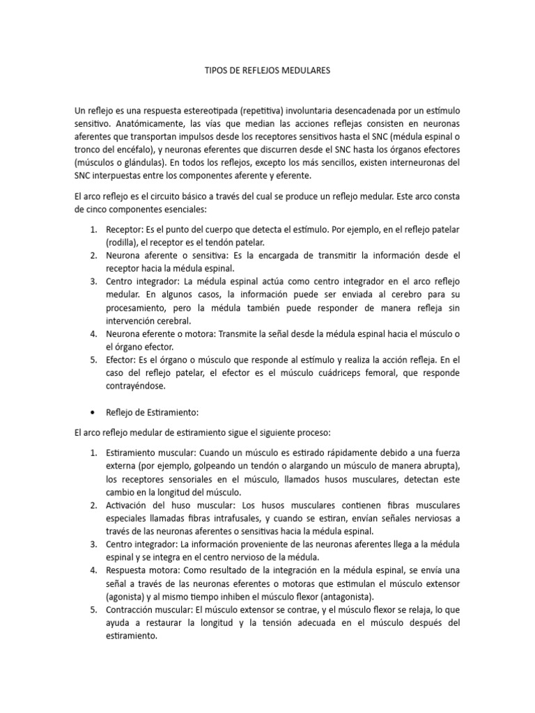 Tipos de Reflejos Medulares | PDF | Neurofisiología | Anatomía humana