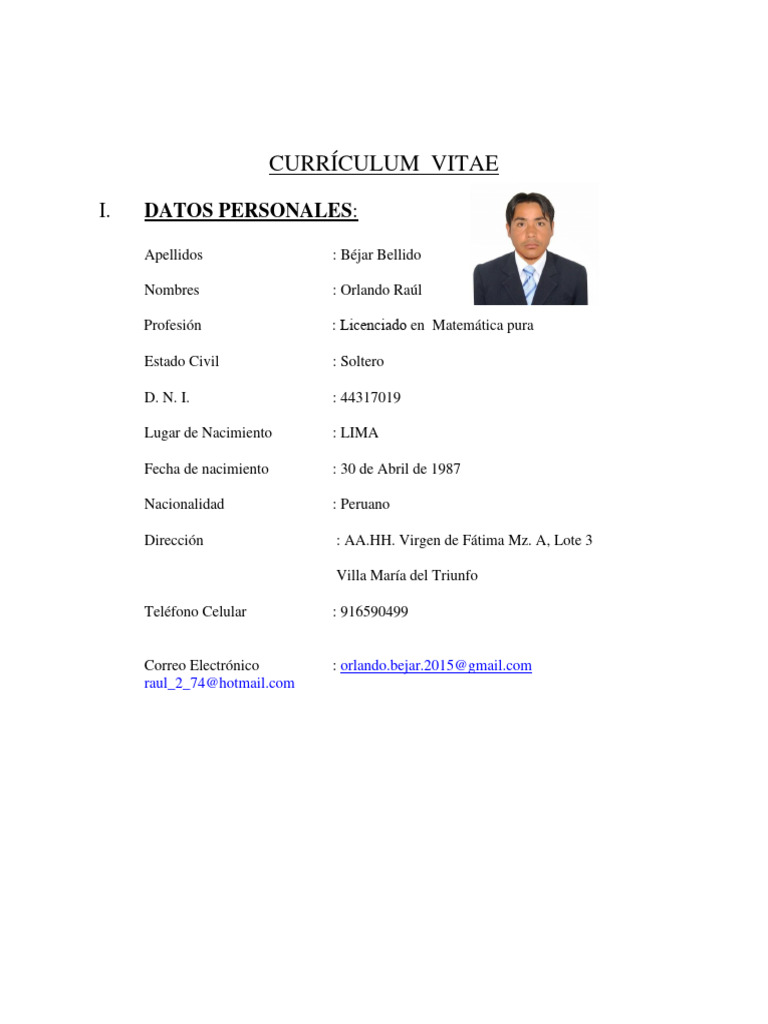 Curriculum Vitae Raul Bejar Bellido | PDF | Matemáticas | Science