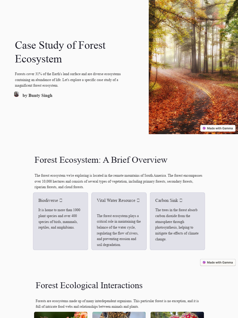 Case Study of Forest Ecosystem: by Bunty Singh | PDF | Ecosystem | Forests