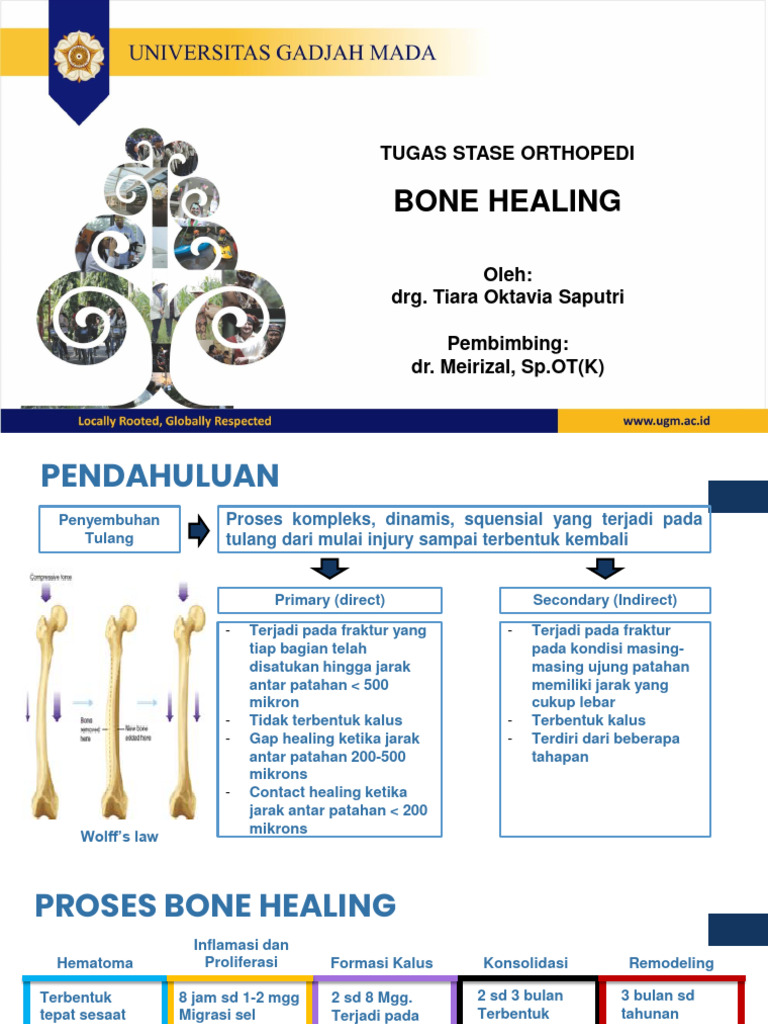Tugas Orthoped Tiara Bone Healing | PDF