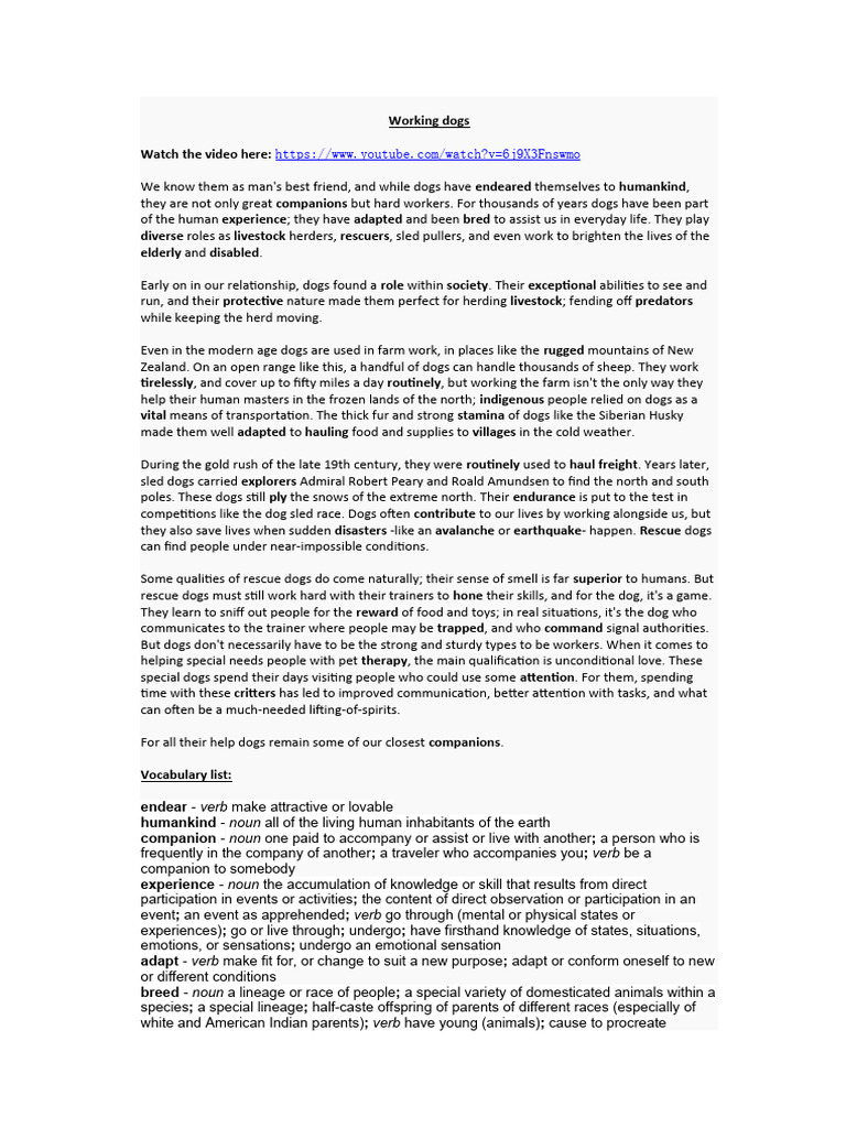 The Roles of Working Dogs | PDF | Dogs | Transport