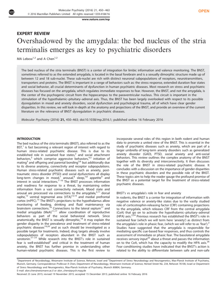 BNST (Bed Nucleus of The Stria Terminalis) | PDF | Amygdala | Fear
