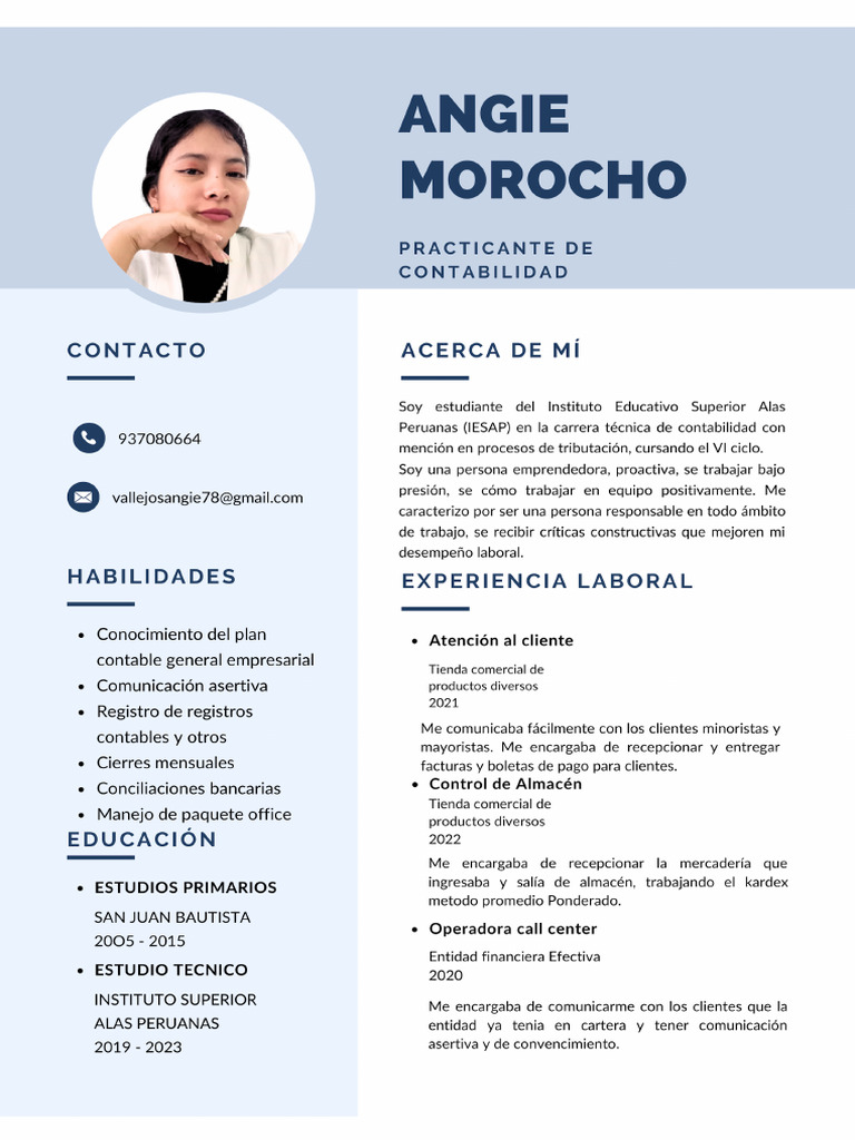 Currículum Vitae Minimalista Celeste | PDF