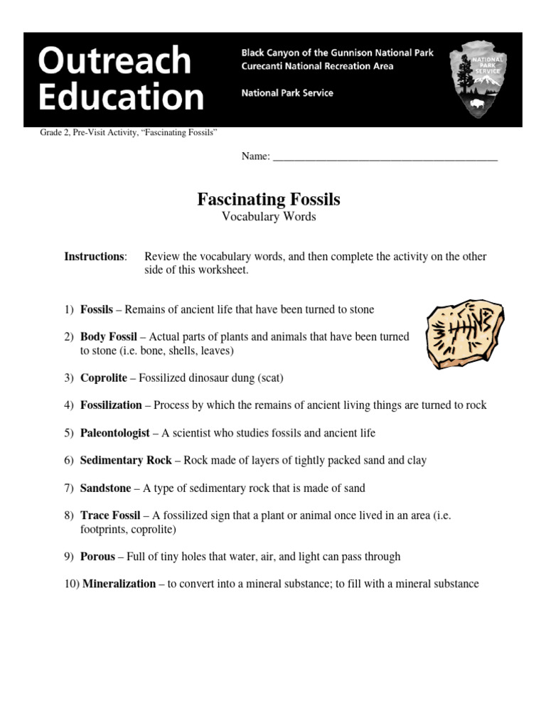 Fossils 2 | PDF | Rock (Geology) | Fossil