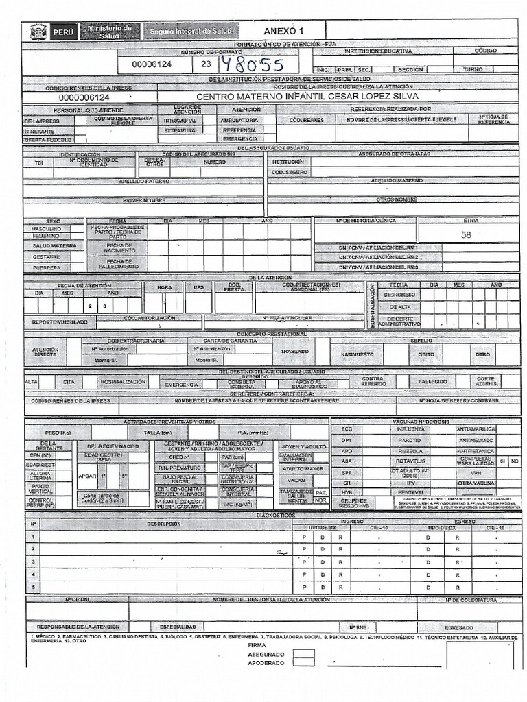 Formato Unico de Atencion Fua. Mg. Margarita Loza Huaman | PDF