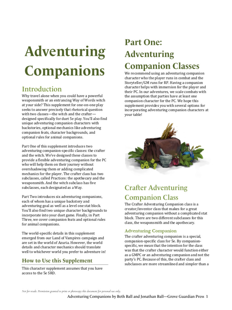 Adventuring Companions Preview | PDF