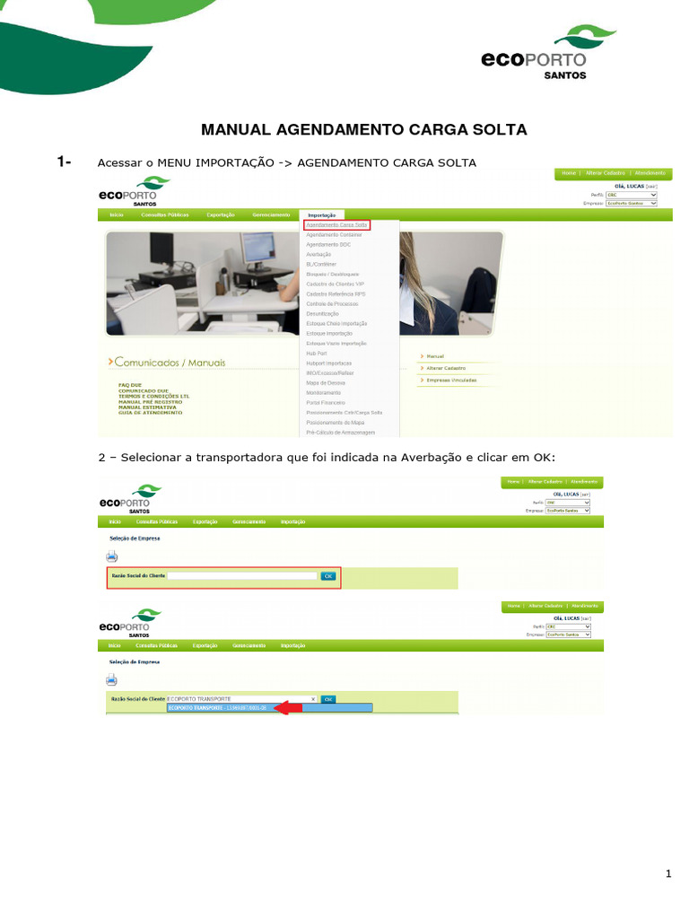 Manual Agendamento Carga Solta | PDF | Informática
