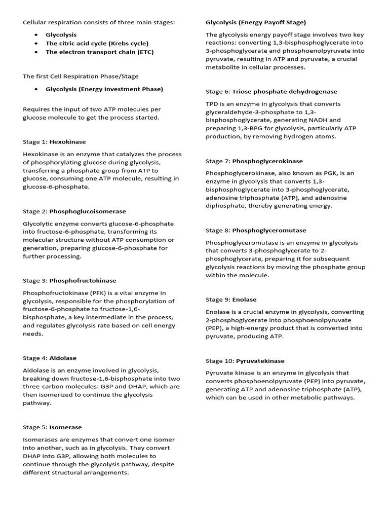 Glycolysis: Key Enzymes and Stages | PDF | Glycolysis | Adenosine ...