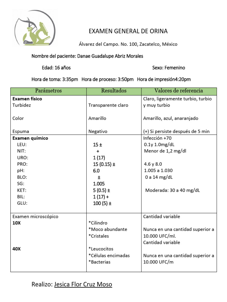 Examen General de Orina: Resultados y Análisis | PDF