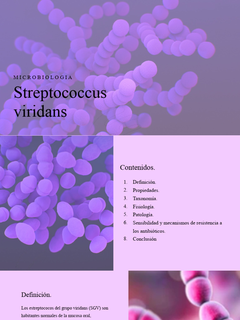 Streptococcus Viridans - EXPOCISION | PDF | Estreptococo | Penicilina