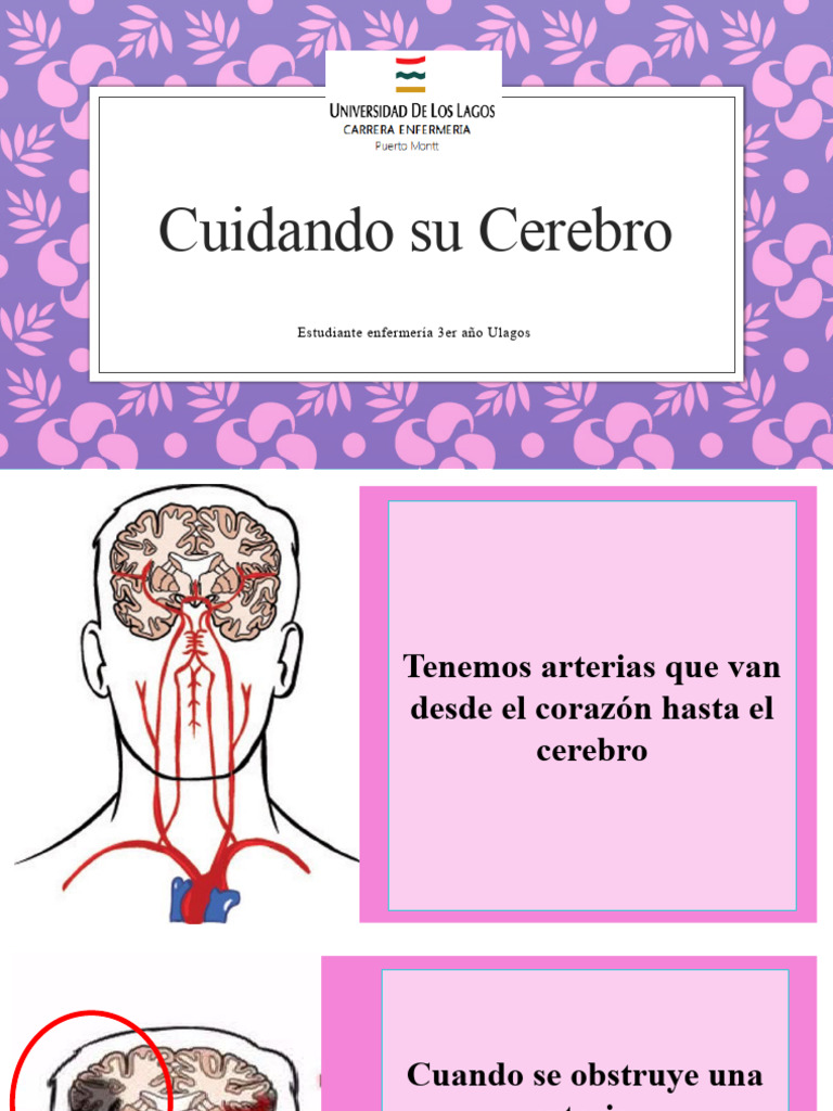 Acv Educacion HBPM | PDF