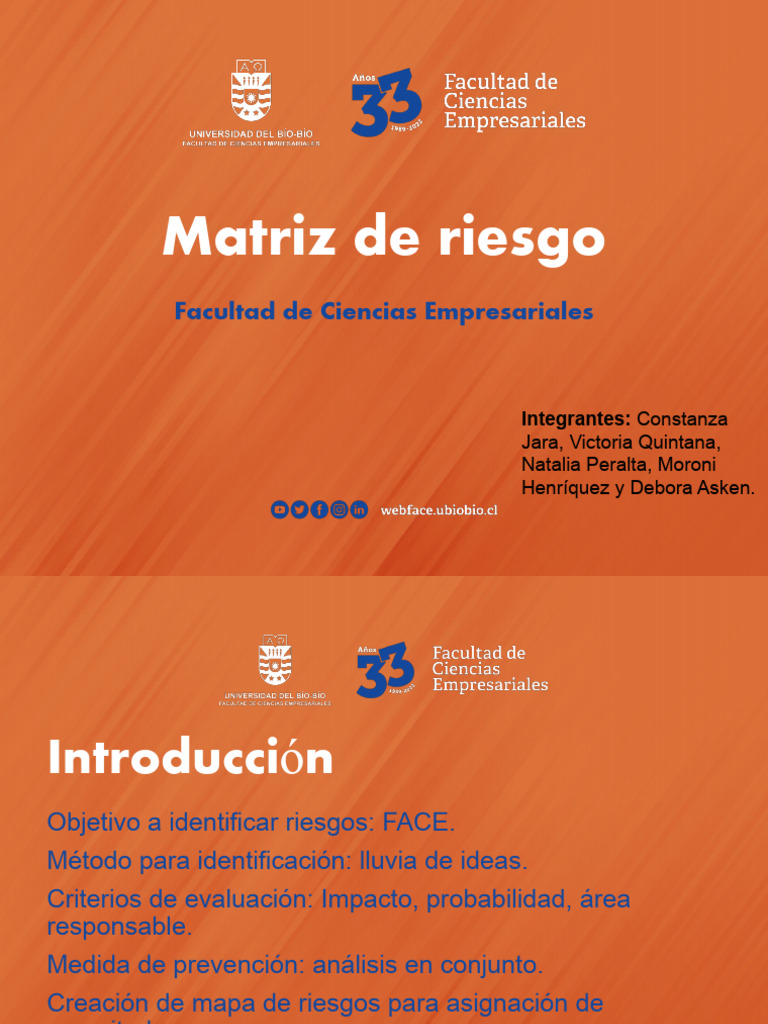 Matriz de Riesgo | PDF