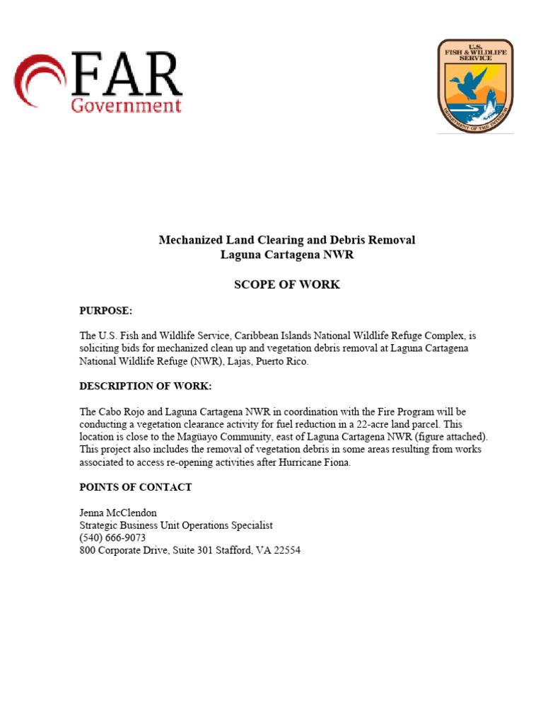 D01 - Scope of Work-Jenna McClendon | PDF