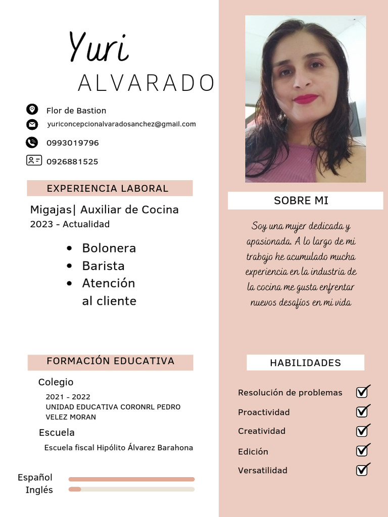 Curriculum Vitae Yuri Alvarado | PDF