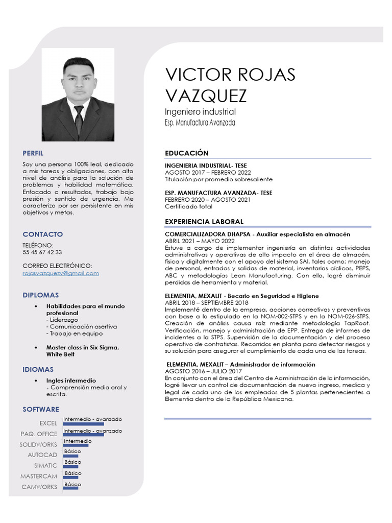 CV Victor Rojas Vazquez | PDF | Ingeniería Industrial | Business