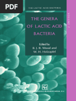 Springer Nature Word Template Guide | PDF | Citation | Paragraph