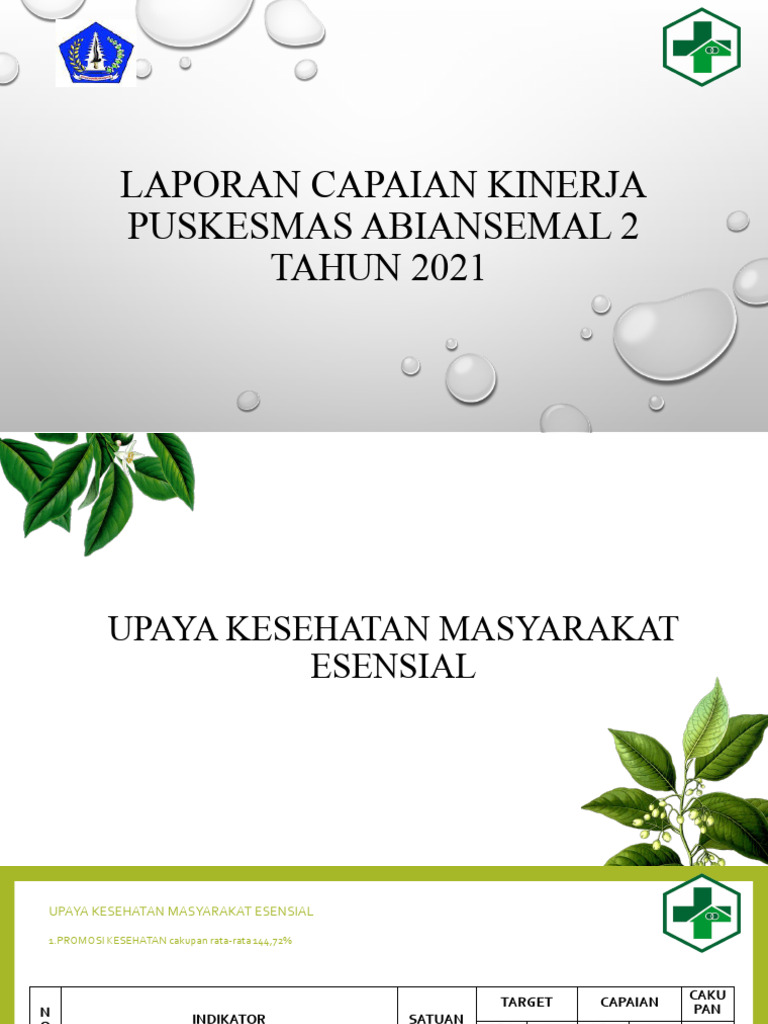 Capaian Kinerja Program 2021 | PDF