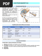 Reobase y Cronaxia en Fisioterapia | PDF | Salud y bienestar | Métodos ...
