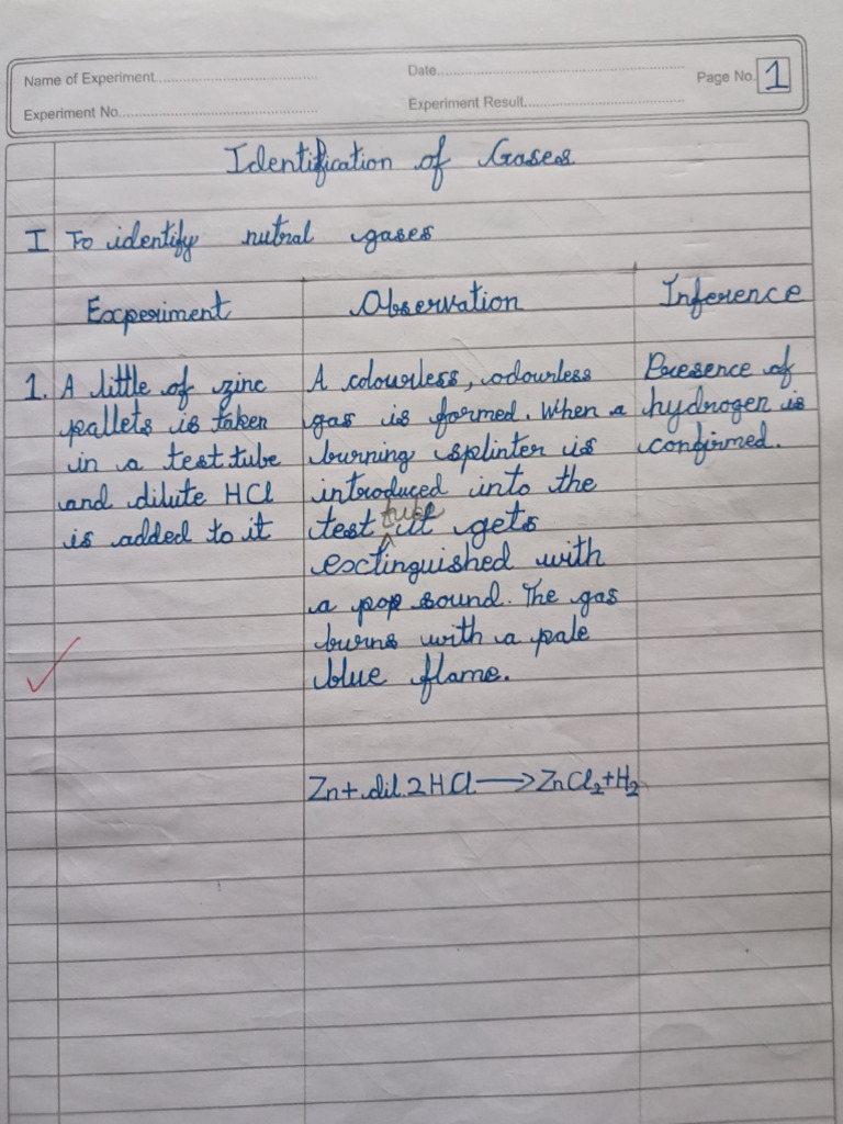 Identification of Gases in Experiments | PDF | Chemistry