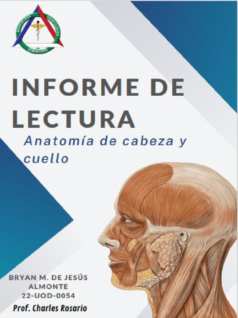 Anatomia De Cabeza Y Cuello Pdf Cráneo Anatomía